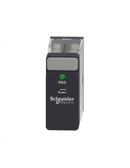 Relay 2 contacts 24Vdc 5A RXG SCHNEIDER series | ADAJUSA | price