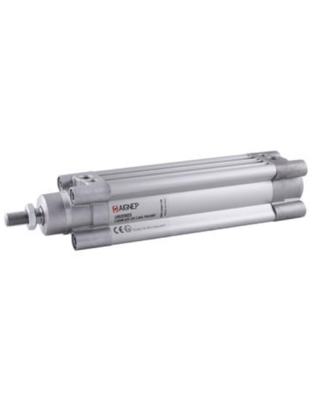 Pneumatic cylinder diameter 40mm stroke 100 standard LH-040-0100 Aignep ...